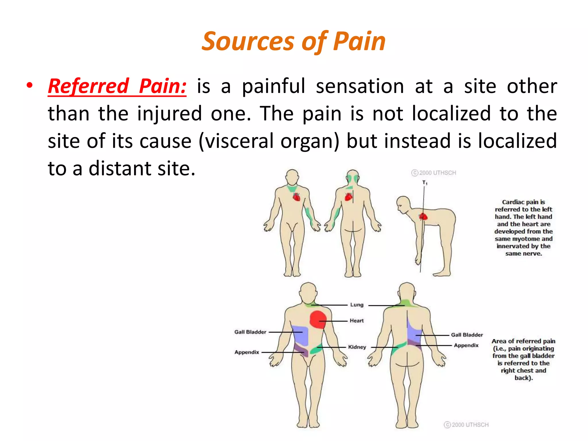 Pathophysiology pain and pain pathways | PPTX