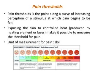 Pathophysiology pain and pain pathways | PPTX