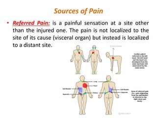 Pathophysiology pain and pain pathways | PPTX