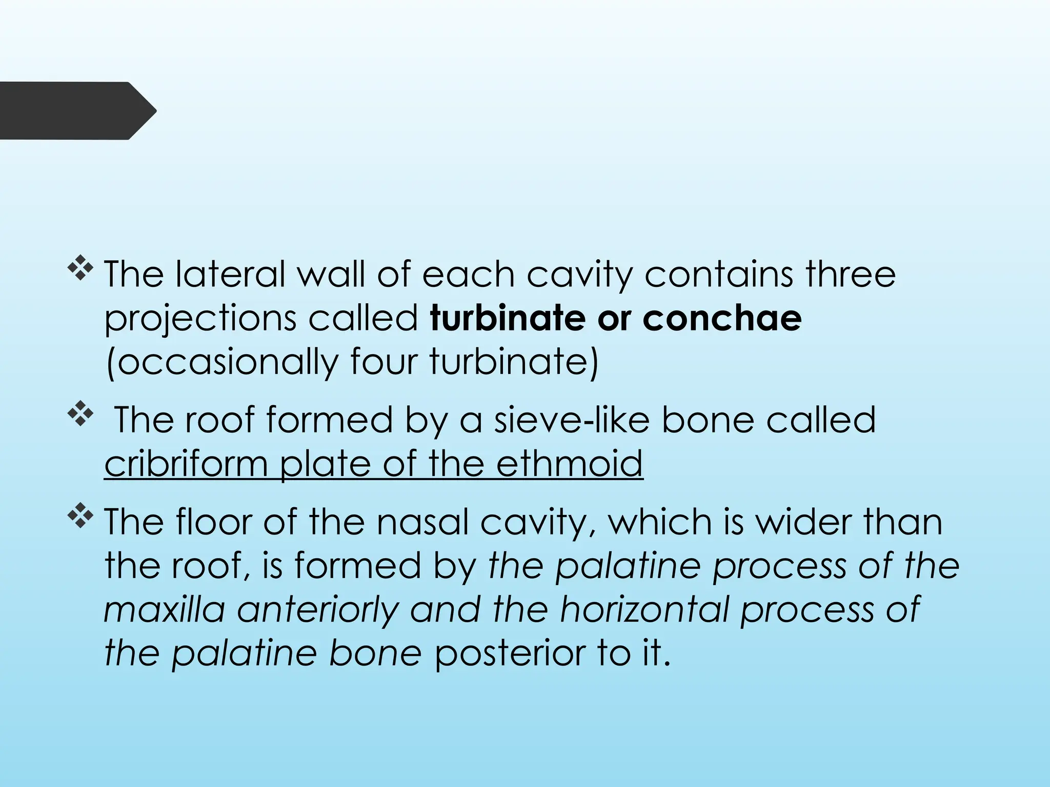 Paranasal Sinuses: Radiological Anatomy and Variants | PPTX