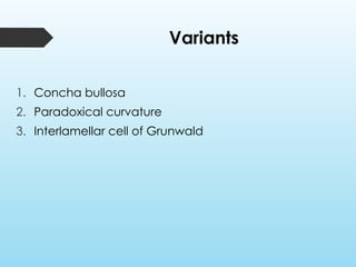 Paranasal Sinuses: Radiological Anatomy and Variants | PPTX