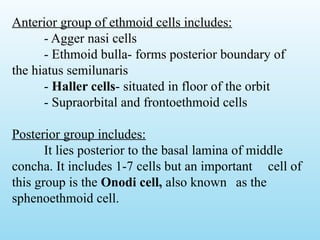 Paranasal Sinuses: Radiological Anatomy and Variants | PPTX