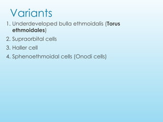 Paranasal Sinuses: Radiological Anatomy and Variants | PPTX