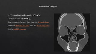 PNS RADIOLOGY AND PATTERNS POWERPOINT PPT.pptx