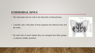 paranasal air sinuses | PPTX