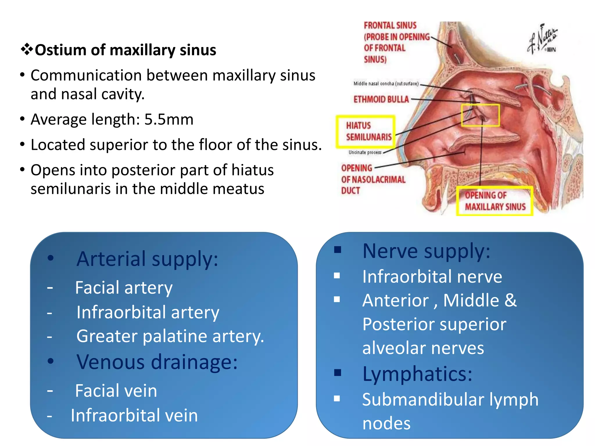Paranasal sinus diseases and their management | PPTX