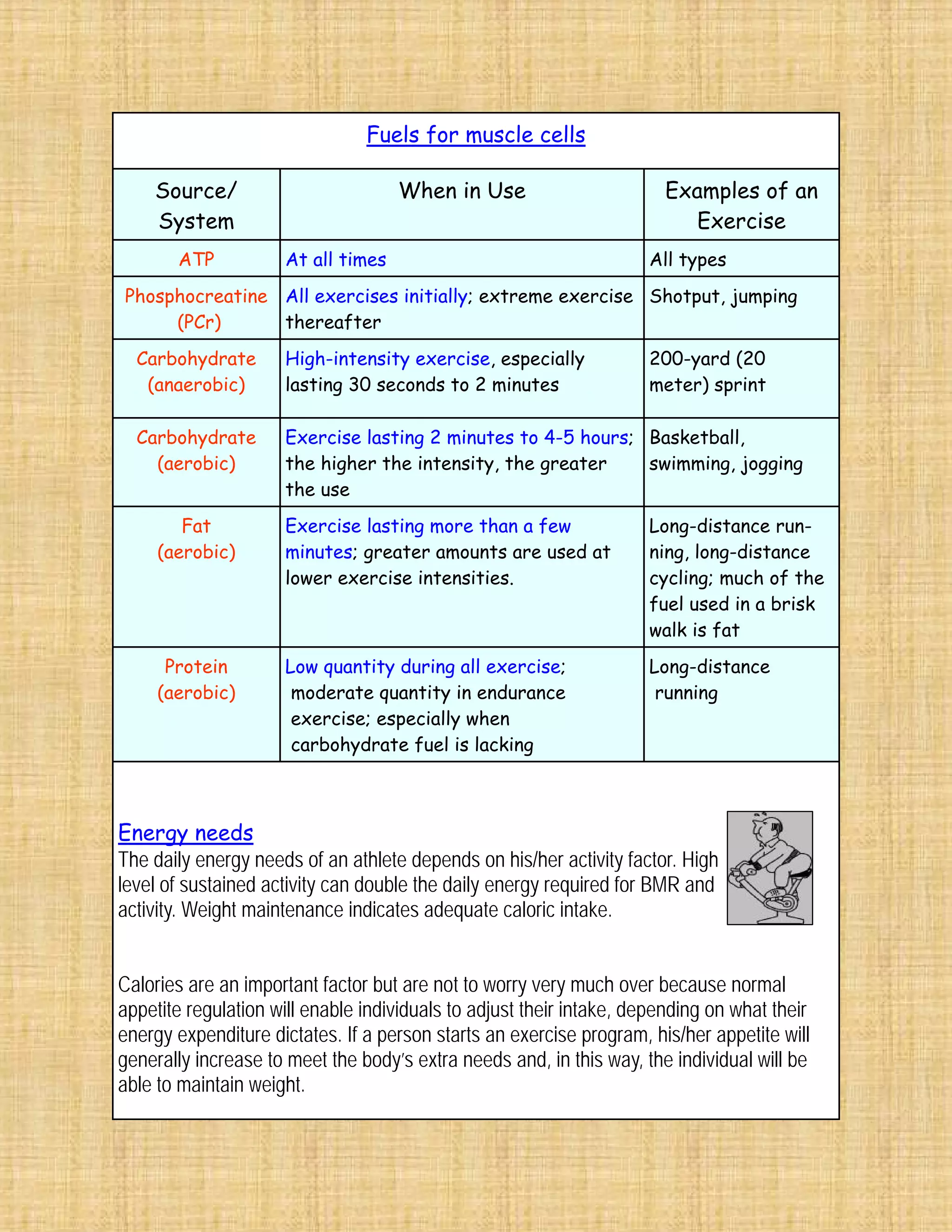 Sports nutrition | PDF