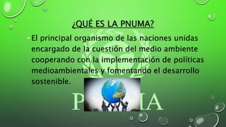 Pnuma | PPTX