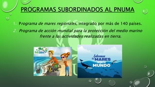 Pnuma | PPTX
