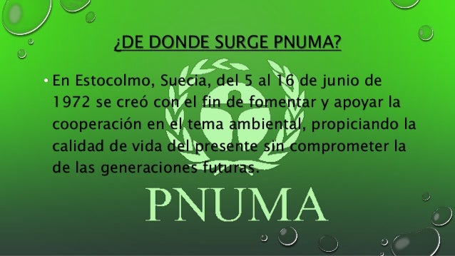 Pnuma