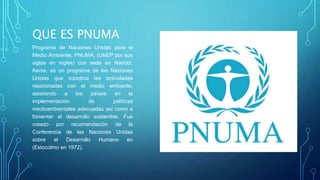 Pnuma 1 | PPTX
