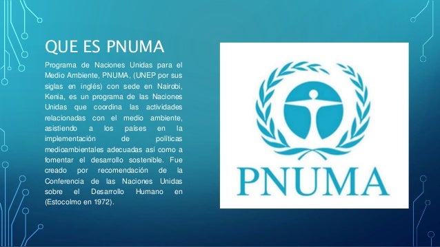 Pnuma 1