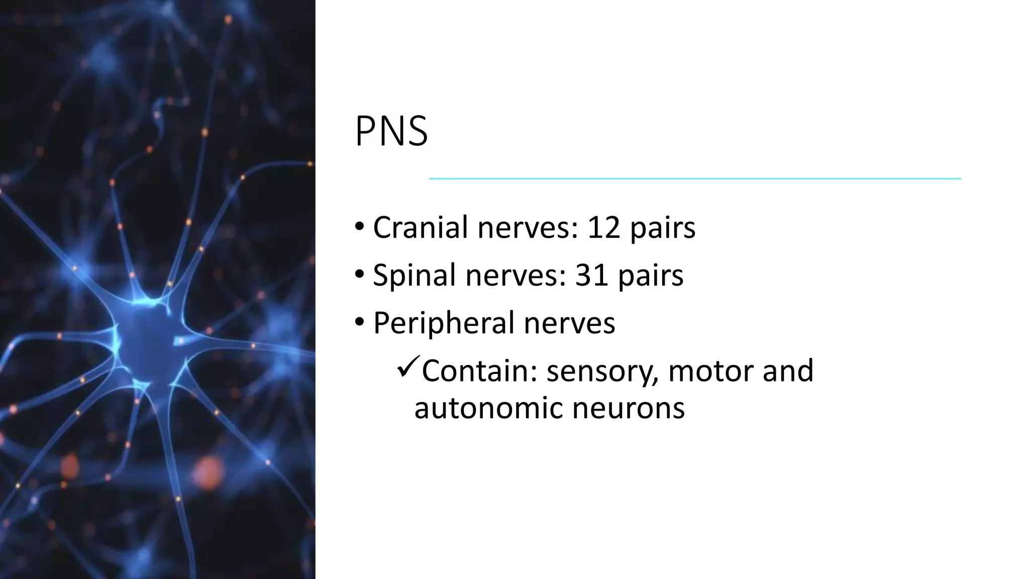 Examination of peripheral neuropathy | PPTX