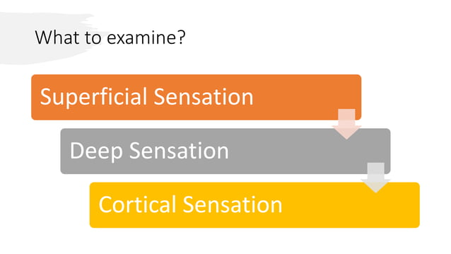 Examination of peripheral neuropathy | PPT