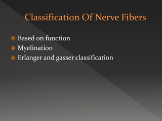 Neuron physiology | PPTX