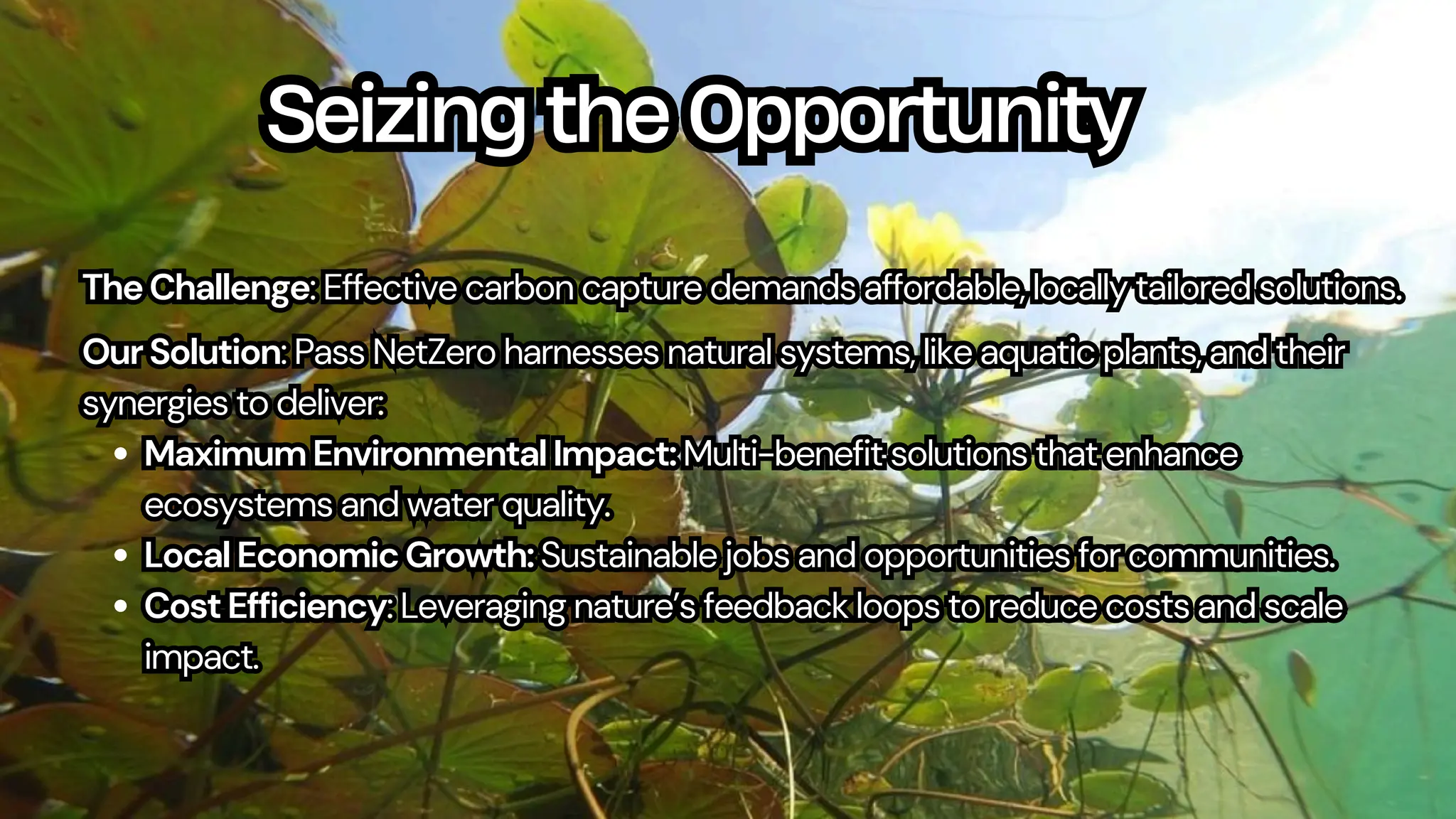 Pass NetZero: Climate Change adaptation nature based solution | NGO ...