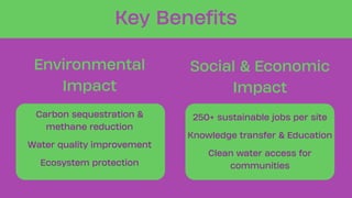 Pass NetZero: Climate Change adaptation nature based solution | NGO ...