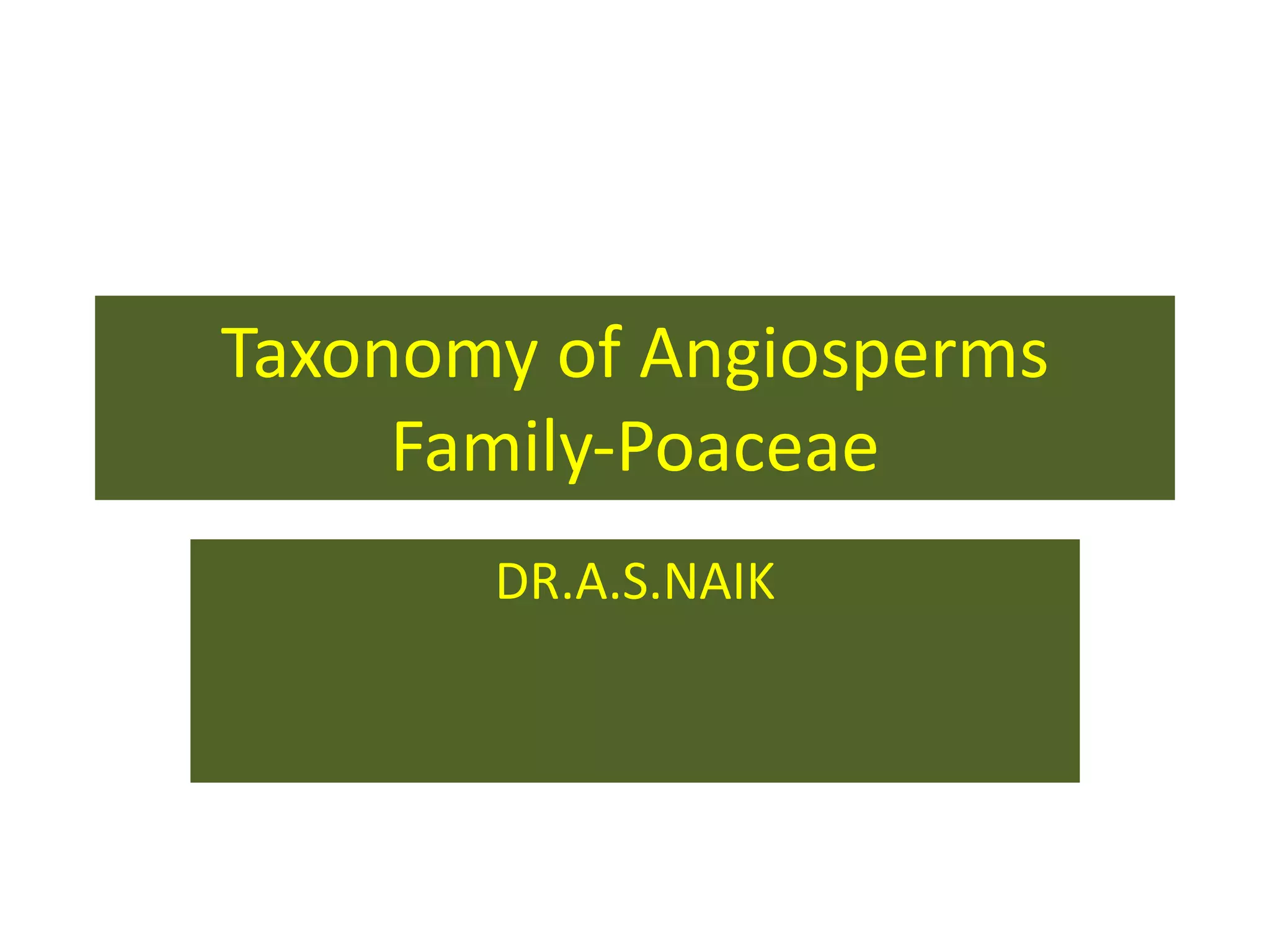 Taxonomy of Angiosperms: Family-Poaceae | PDF