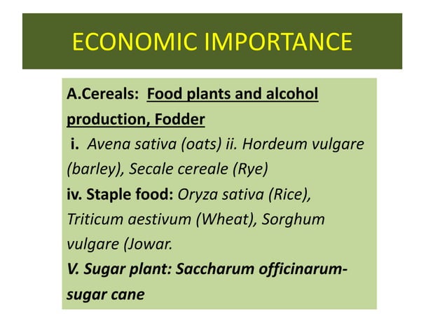 Taxonomy of Angiosperms: Family-Poaceae | PPT