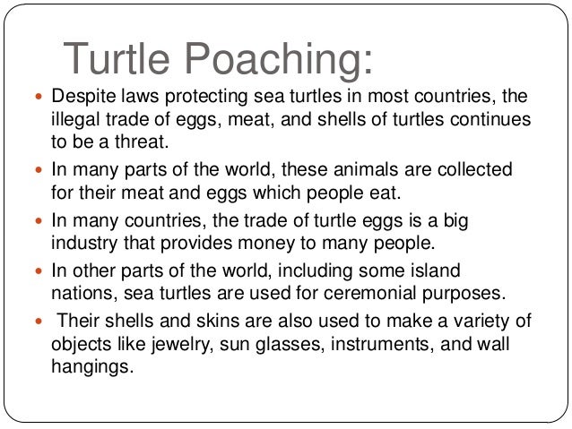 Poaching Meaning