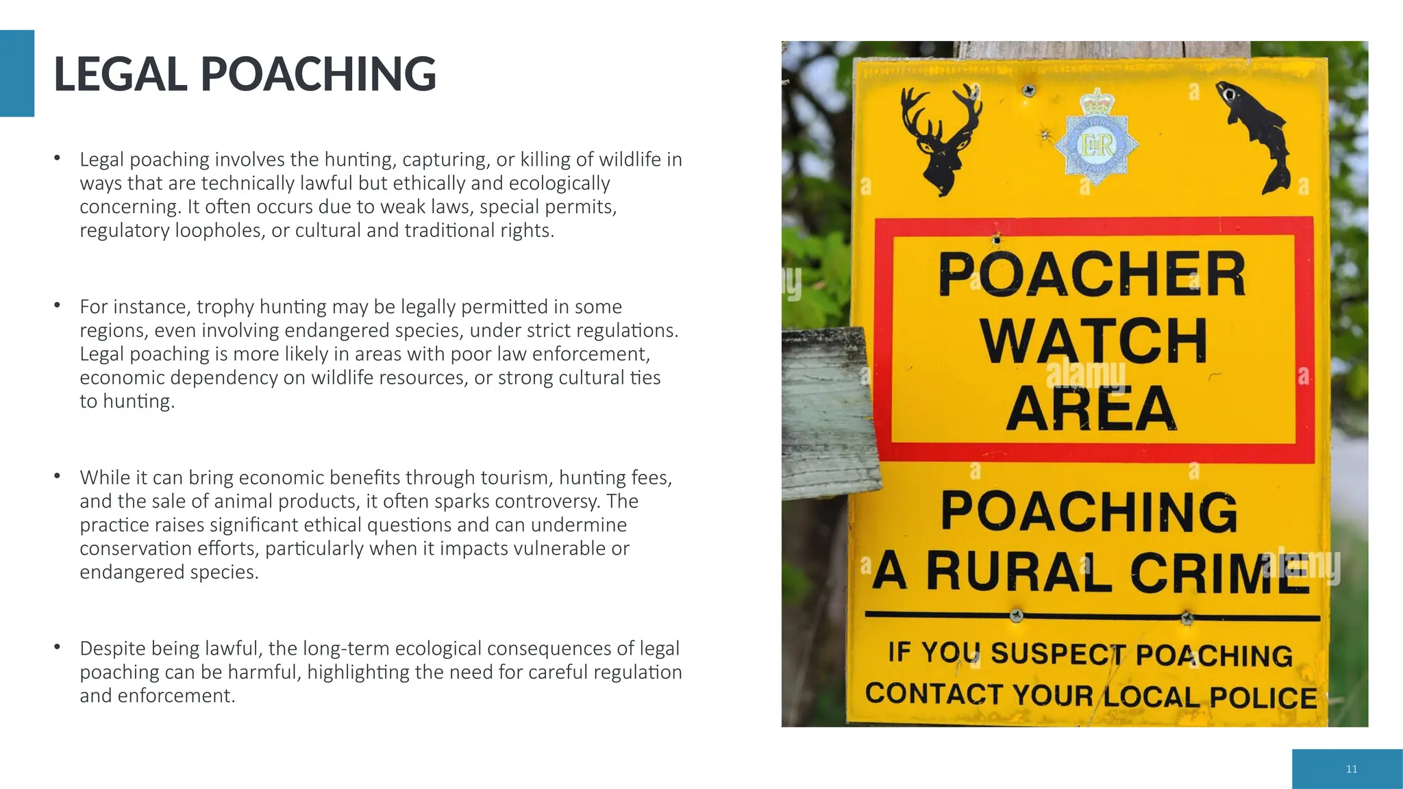 Poaching cruelty what, why and how .pptx