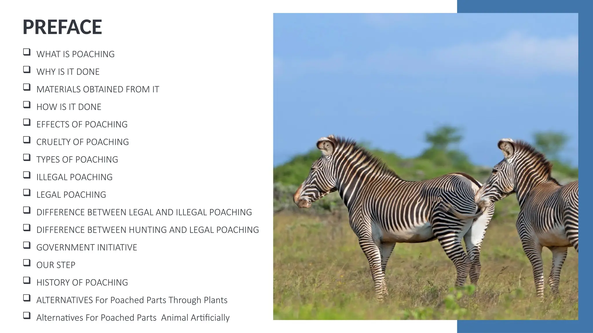 Poaching cruelty what, why and how .pptx