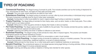 Poaching cruelty what, why and how .pptx