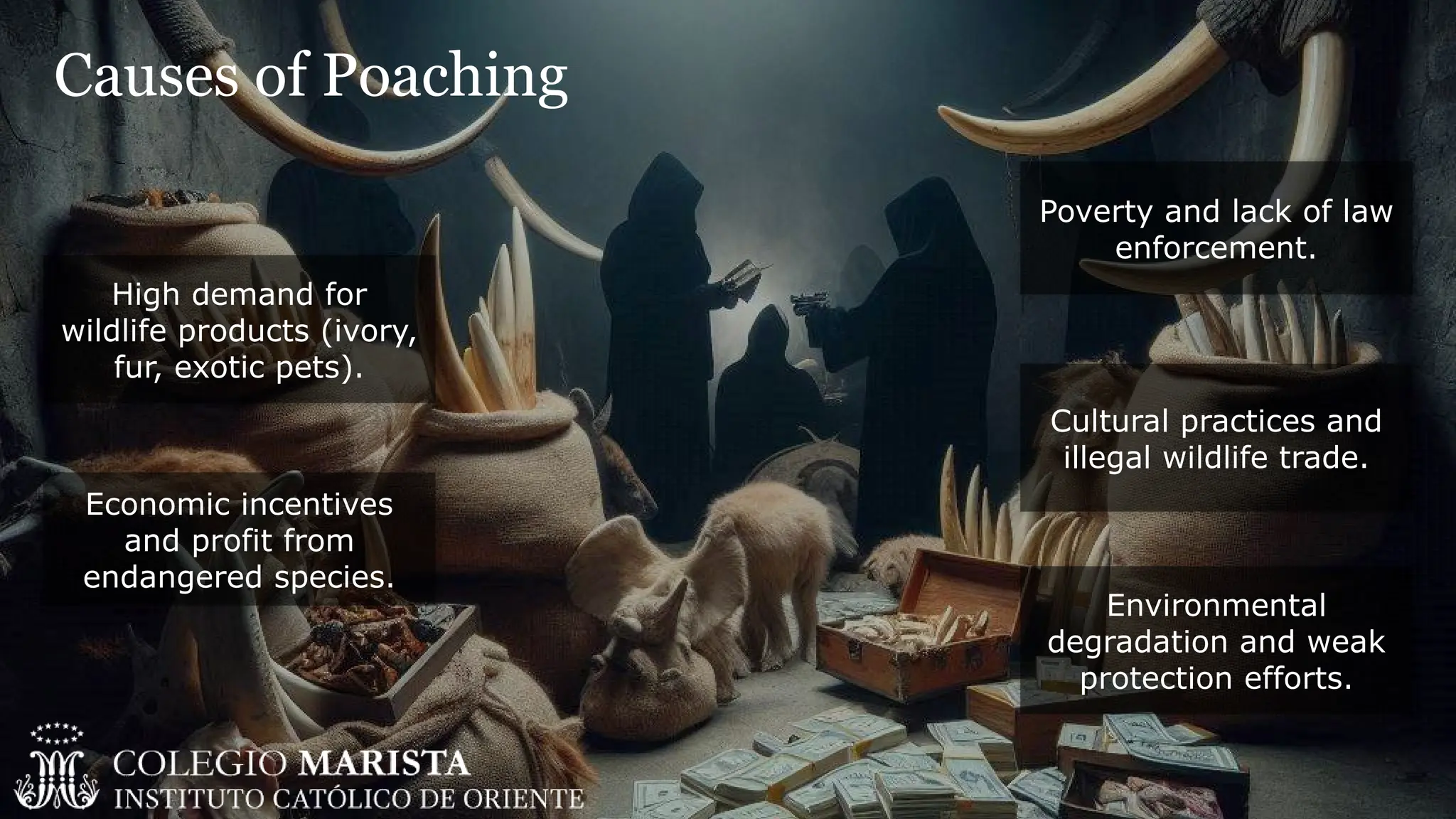 Poaching Expo Ingleshjfgnfgmfgnmfggn Pptx