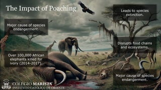 Poaching expo ingleshjfgnfgmfgnmfggn.pptx