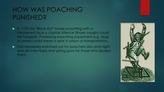 Poaching | PPTX | Hunting and Shooting | Sports