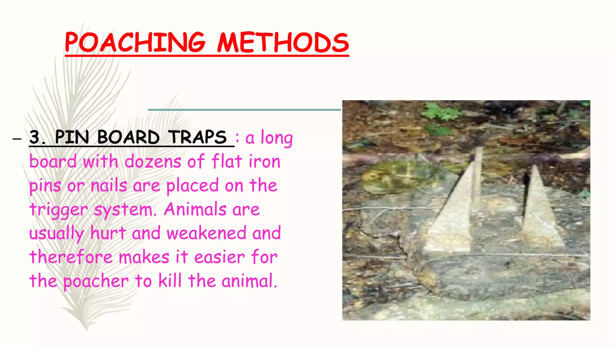 Poaching methods | PPTX