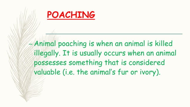 Poaching methods | PPTX