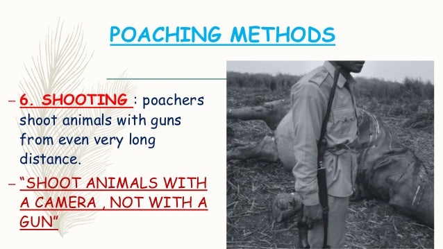 Poaching Meaning