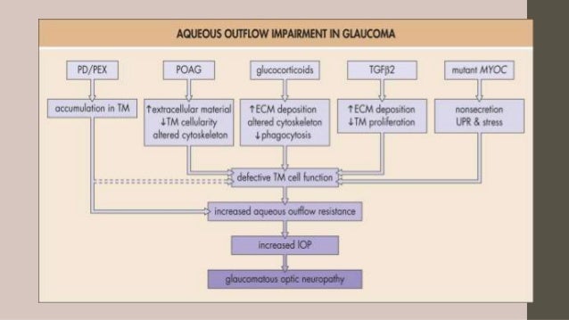 Workup of a case of POAG