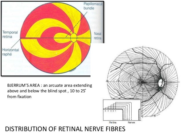 Poag 28.04.16 - dr.a.r.rajalakshmi
