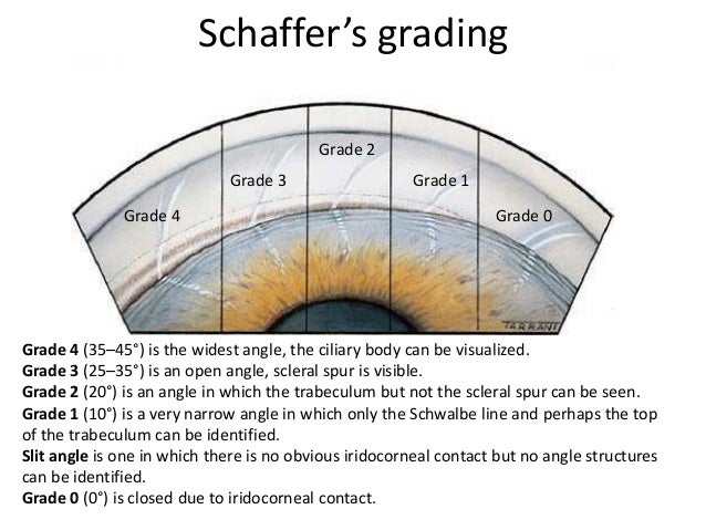 Poag 28.04.16 - dr.a.r.rajalakshmi