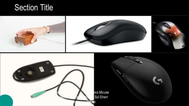 Perkembangan Tetikus (Mouse)