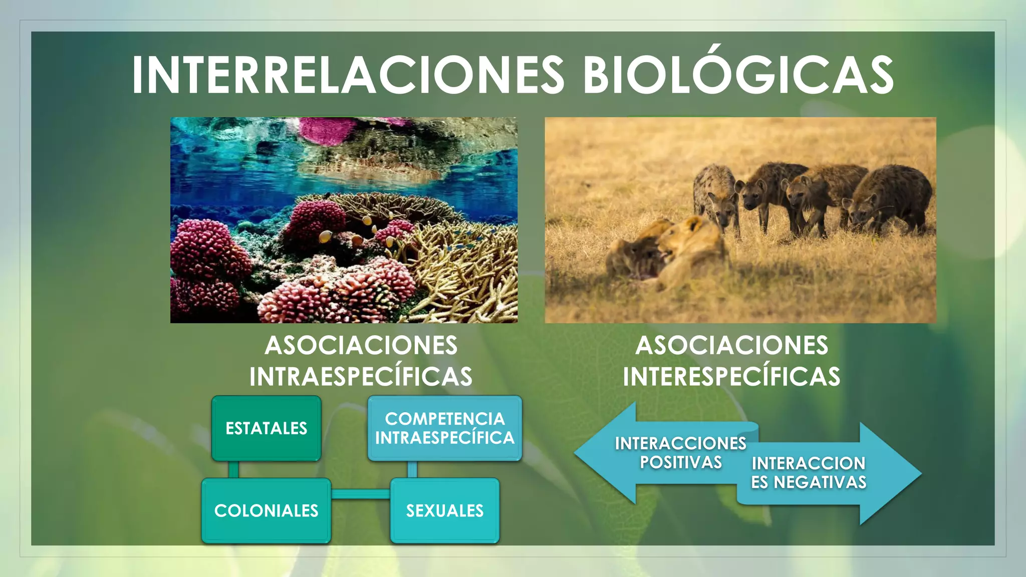 POBLACIÓN, COMUNIDAD, ECOSISTEMA Y BIOSFERA.pdf