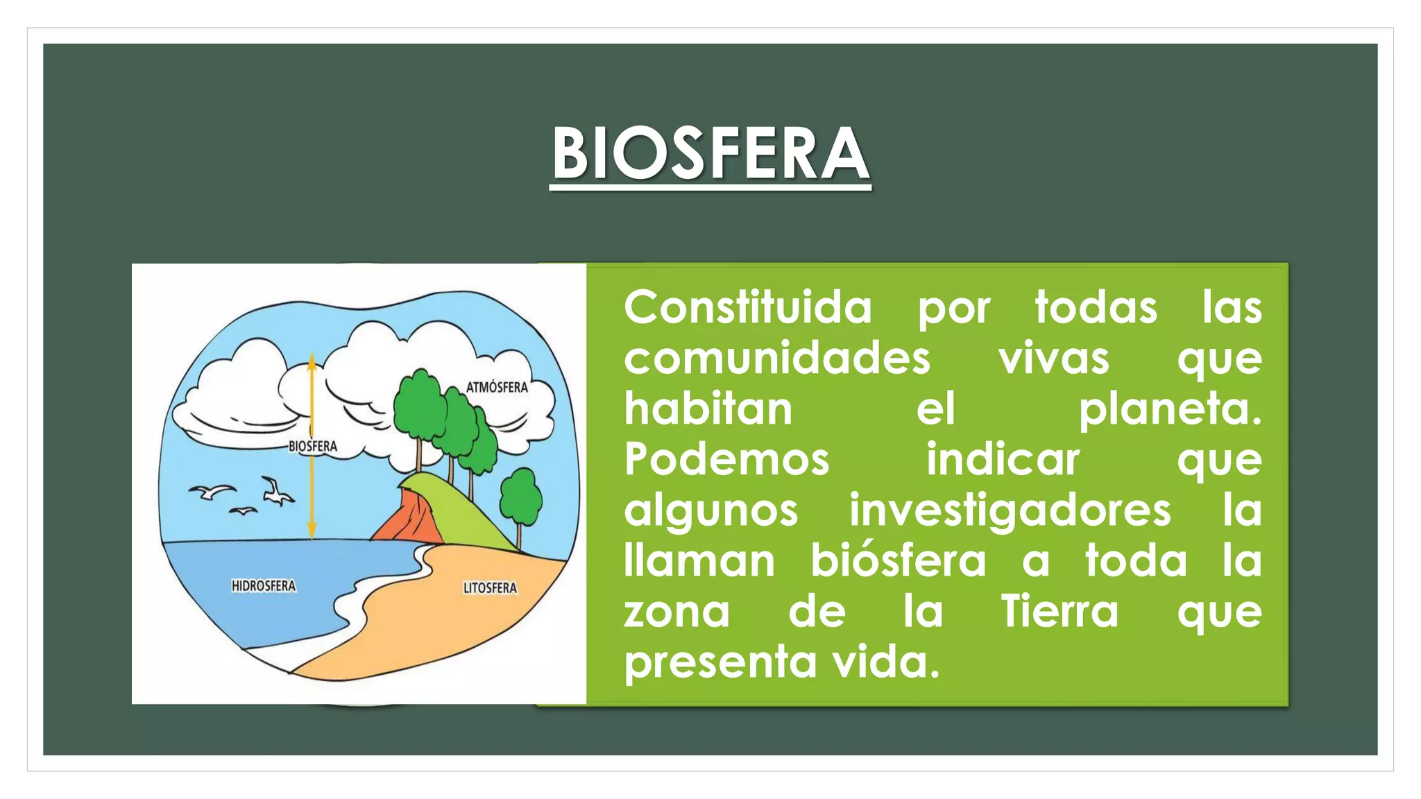 POBLACIÓN, COMUNIDAD, ECOSISTEMA Y BIOSFERA.pdf