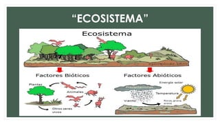 POBLACIÓN, COMUNIDAD, ECOSISTEMA Y BIOSFERA.pdf