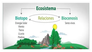 POBLACIÓN, COMUNIDAD, ECOSISTEMA Y BIOSFERA.pdf