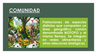 POBLACIÓN, COMUNIDAD, ECOSISTEMA Y BIOSFERA.pdf