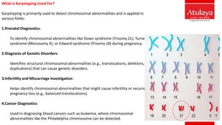 Know about Products of conception,genetics | PDF