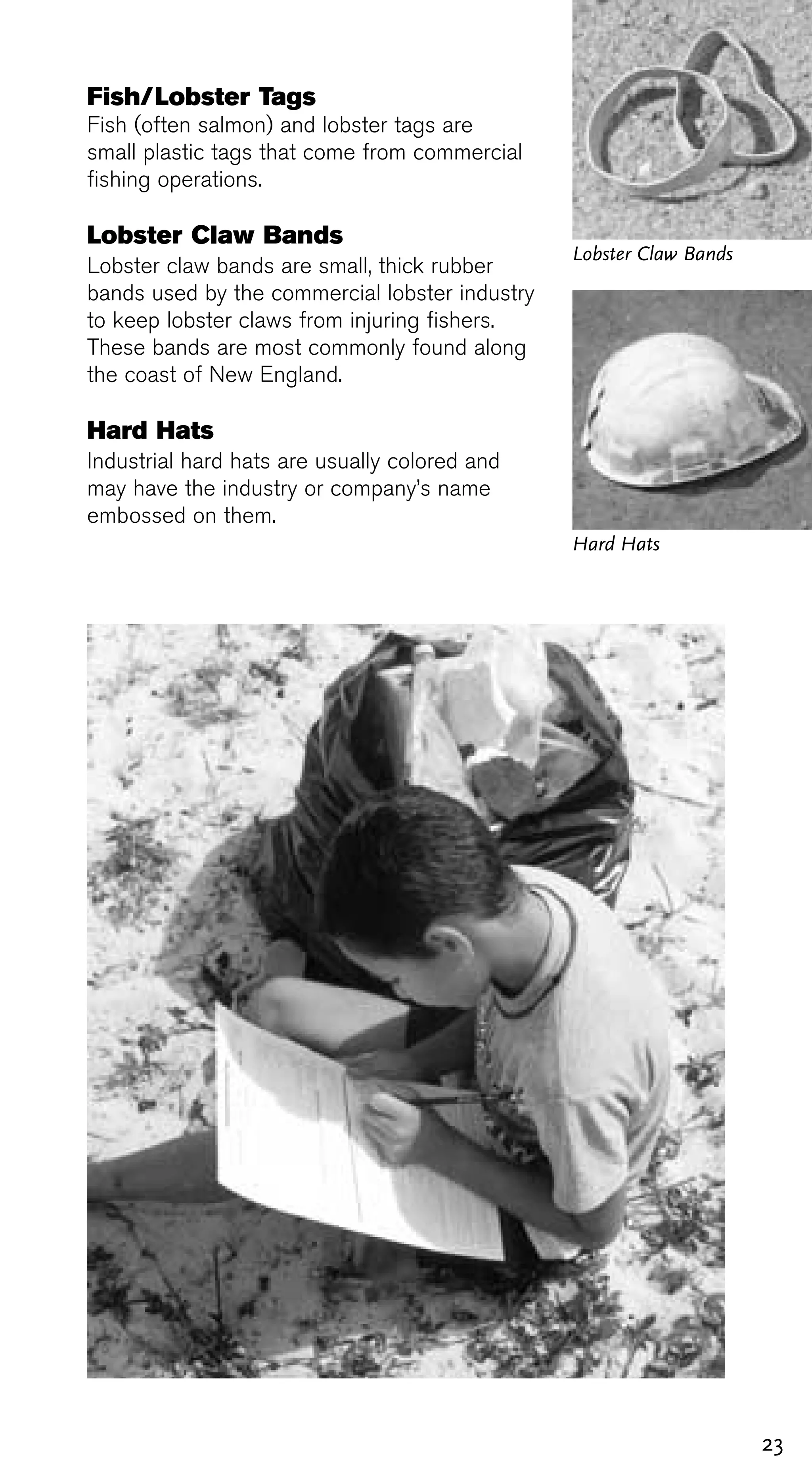 Pocket Guide To Marine Debris | PDF