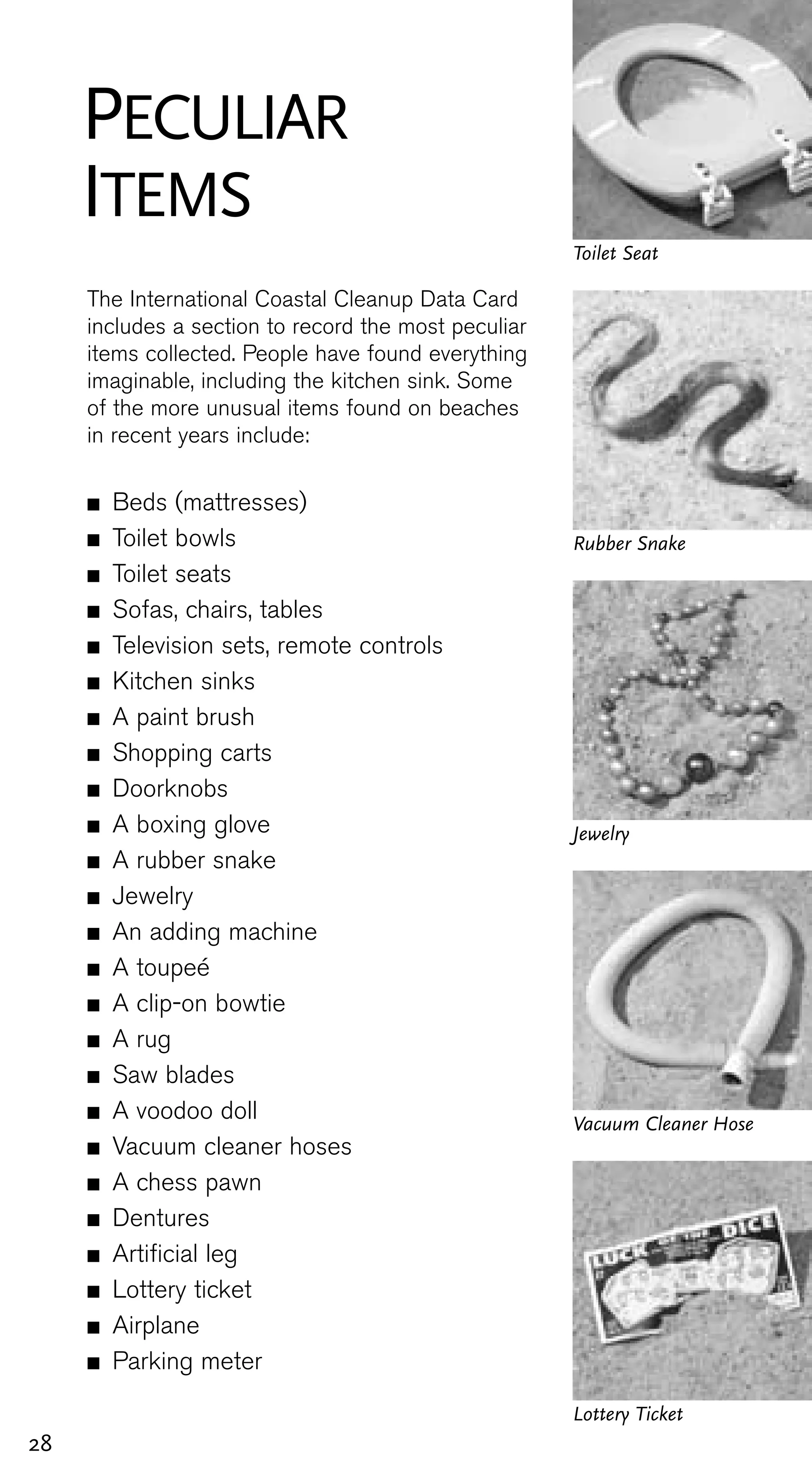 Pocket Guide To Marine Debris | PDF
