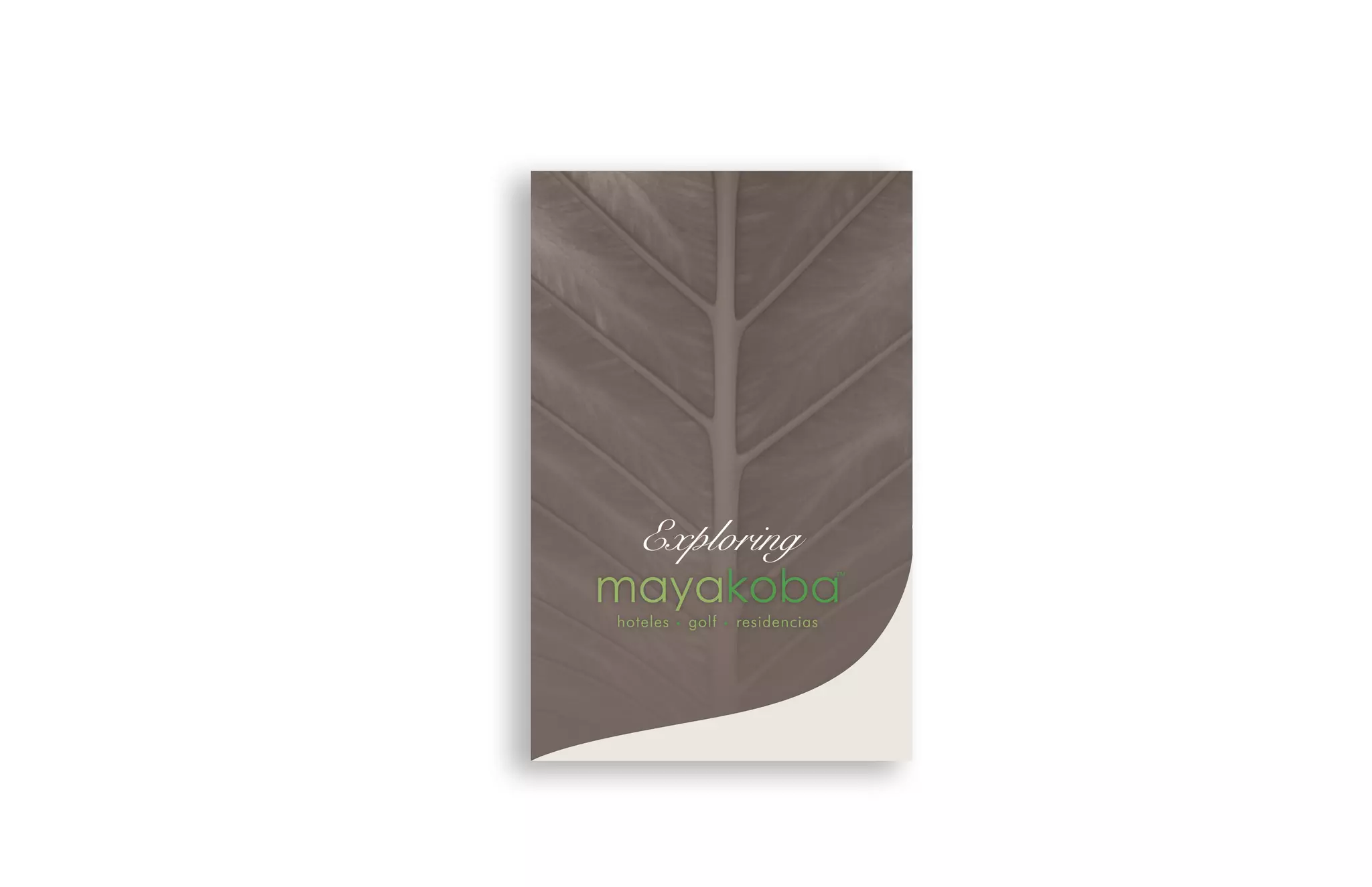 MINI POCKET FOLDER - MAYAKOBA MEXICO | PDF