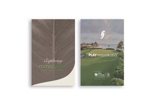 MINI POCKET FOLDER - MAYAKOBA MEXICO | PDF