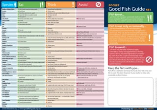 If You Love Fish | PPT