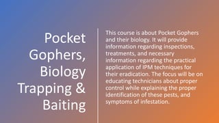 DPR Pocket Gophers Biology Trapping and Baiting.pptx.pdf