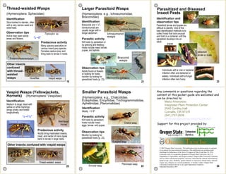 Pocket Guide of Natural Enemies - Laurel Moulton | PDF